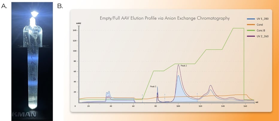 Innovative Analytical Ultracentrifugation Techniques for the ...