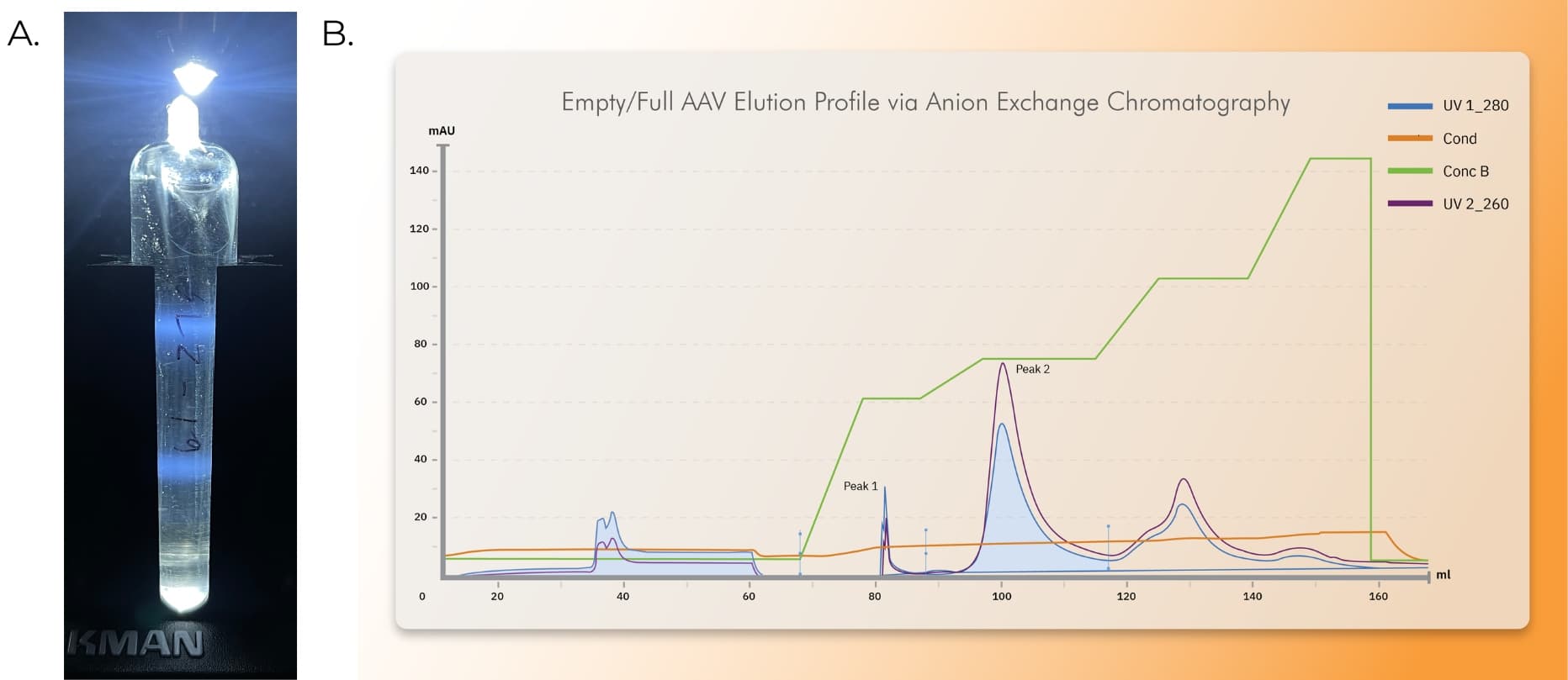 Innovative Analytical Ultracentrifugation Techniques for the ... Innovative Analytical Ultracentrifugation Techniques for the ...