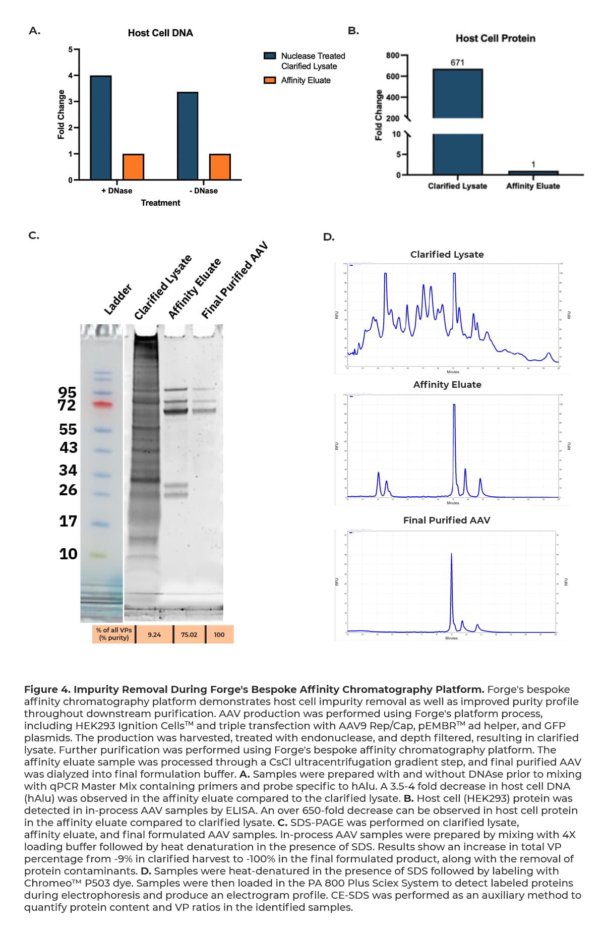 Forge Biologics’ cGMP Compliant and Commercially Viable Bespoke ...