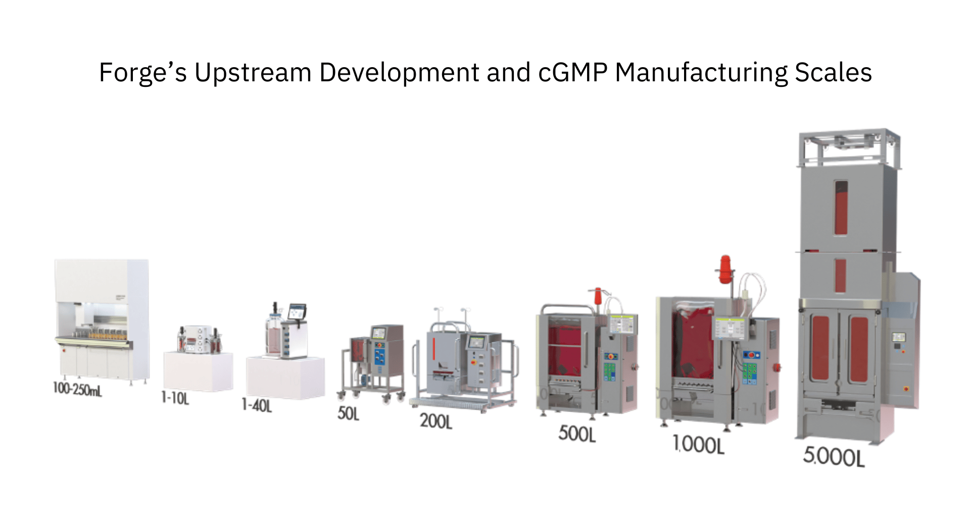 Scaling to New Heights: Robust Scale Up to Commercial Manufacturing