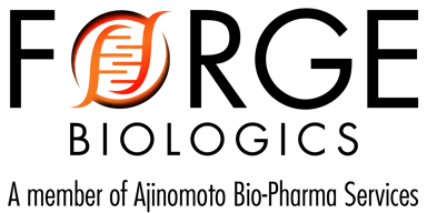 Forge's 2025 Strategic Vision