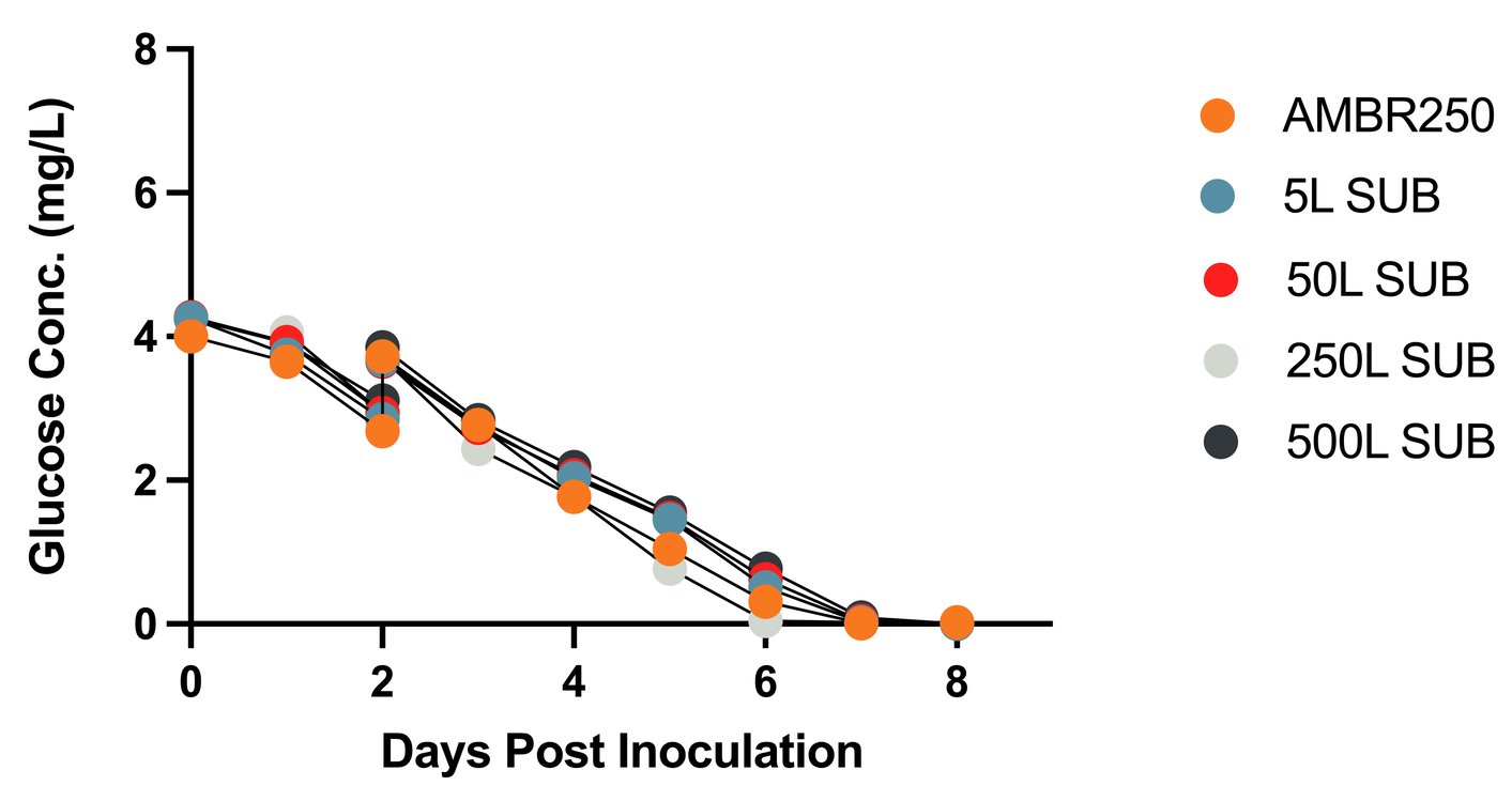 Scaling to New Heights: Robust Scale Up to Commercial Manufacturing