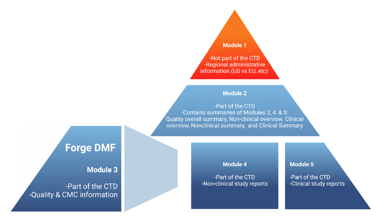 Looking to Streamline Your IND or CTA Filing? Forge Can Help Accelerate Gene Therapy Programs ...