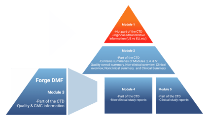 Looking to Streamline Your IND or CTA Filing? Forge Can Help Accelerate ...