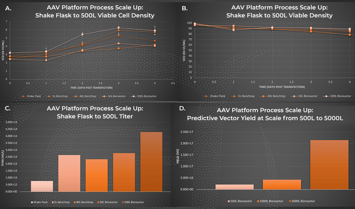 Addressing the ‘Capacity Crunch’ with a Scalable Platform Process Approach